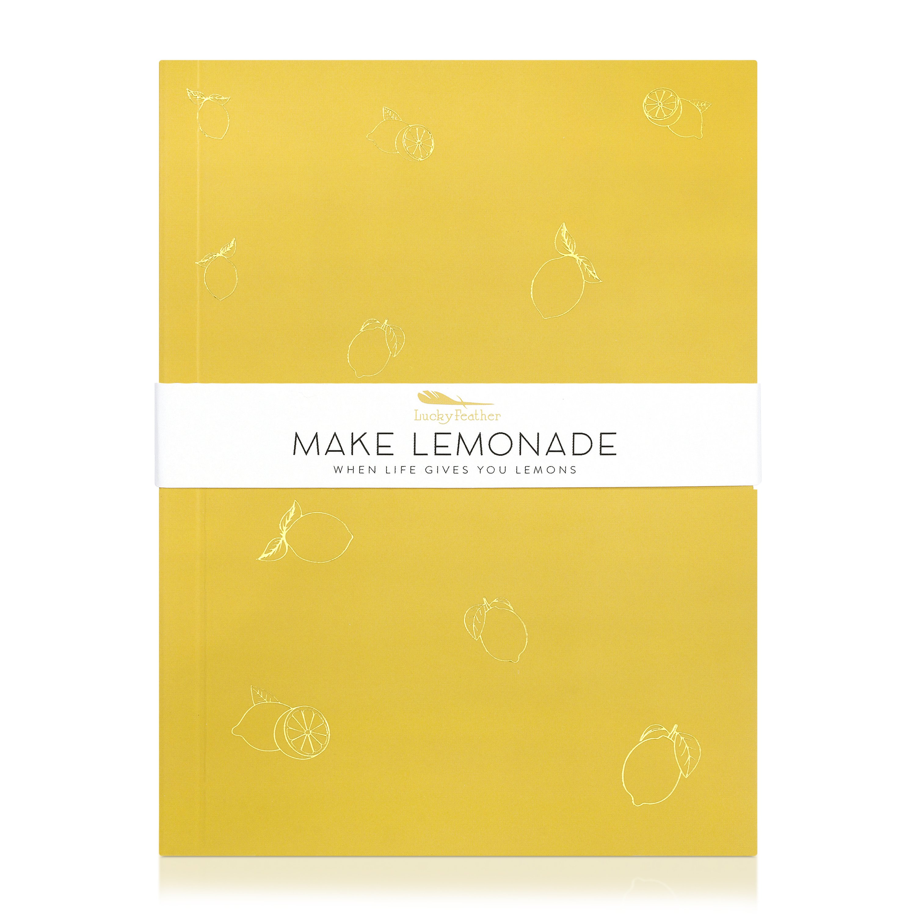 Brilliant: Lemonade Journal